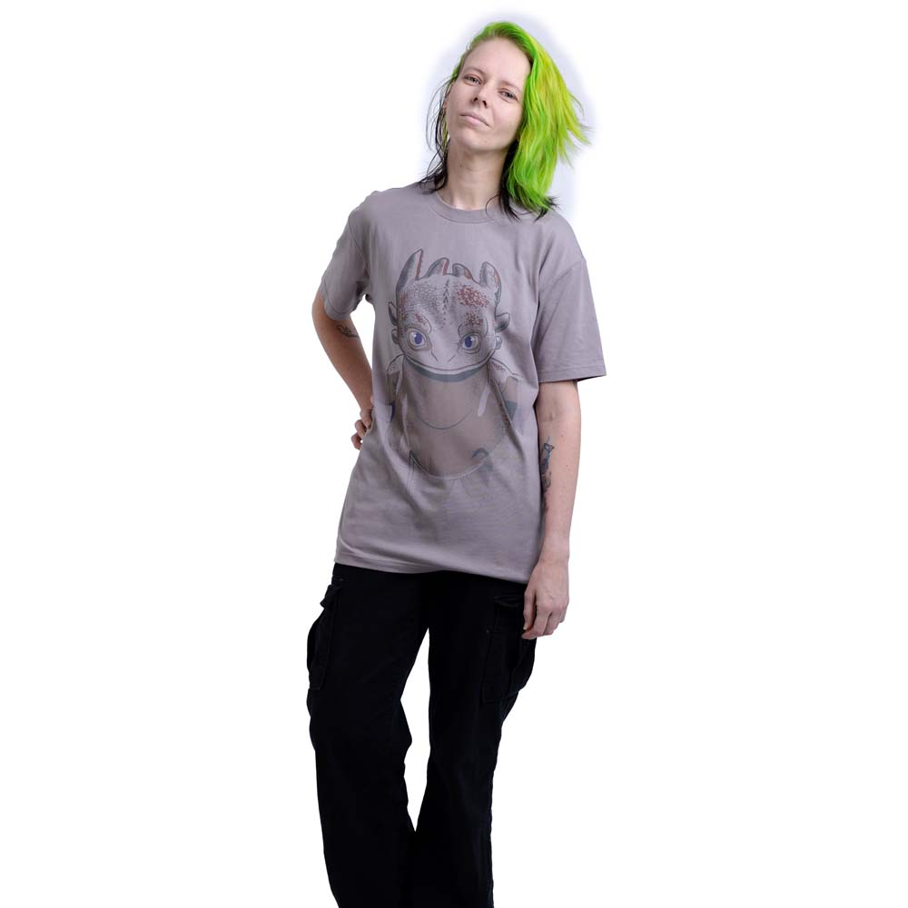 How to Train Your Dragon - Night Fury T-Shirt - Clothing - EB Games New ...