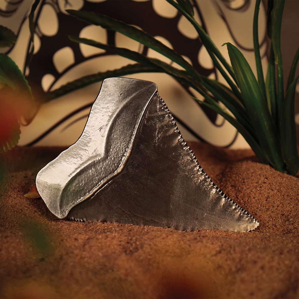 Jaws (50th Anniversary) - Shark Tooth Replica - Toys and Collectibles ...