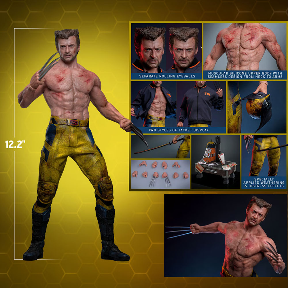 Marvel - Deadpool & Wolverine - Wolverine (TVA Jacket) 1/6 Scale Figure ...