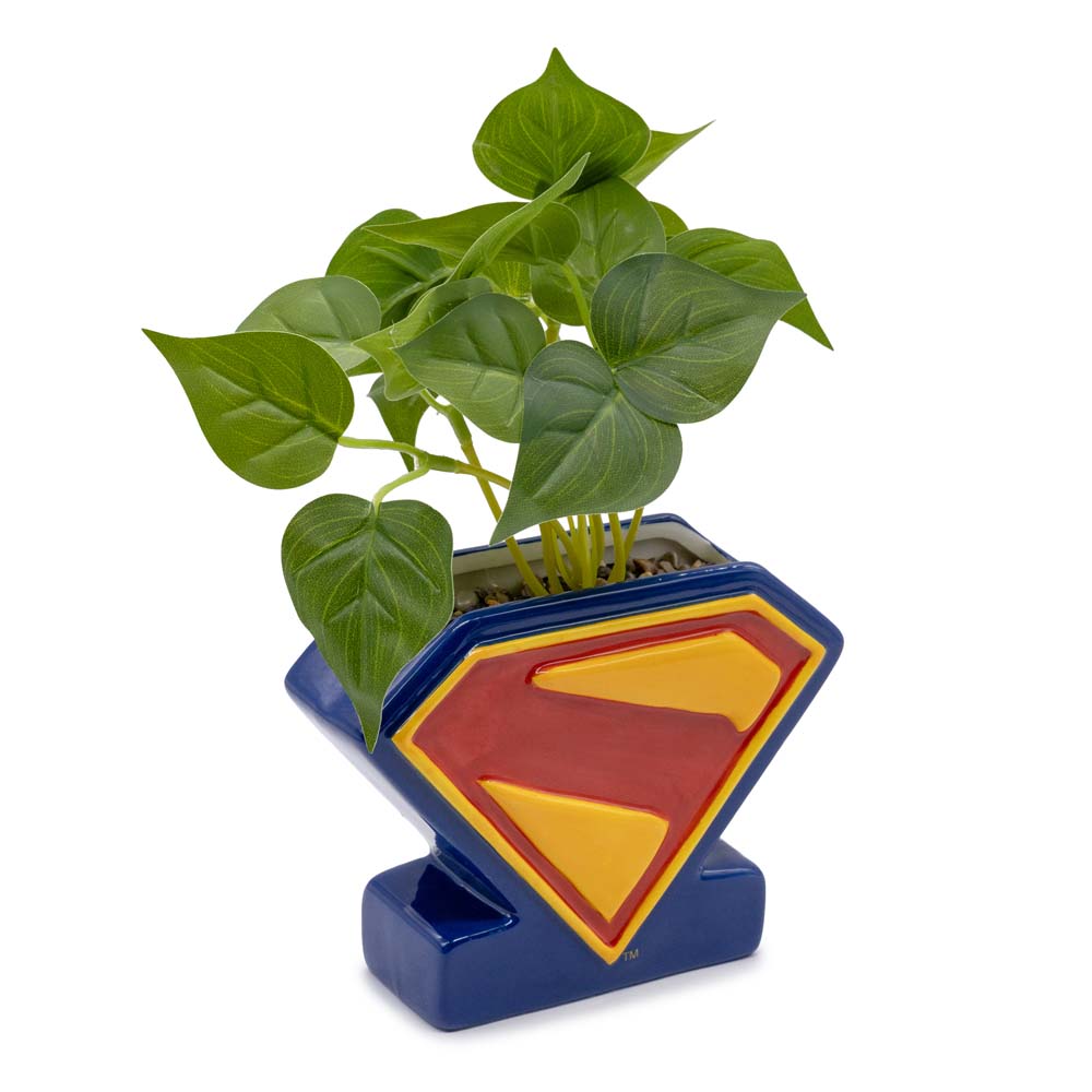 DC Comics - Superman - Shield Plant & Planter - Loot - EB Games Australia