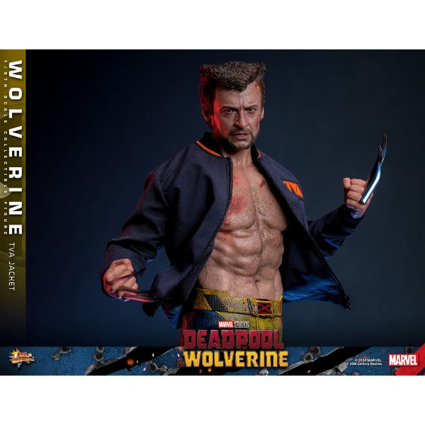 Marvel - Deadpool & Wolverine - Wolverine (TVA Jacket) 1/6 Scale Figure ...