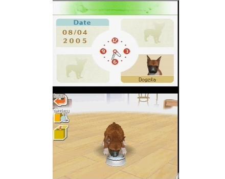 Nintendogs Labrador and Friends (preowned) - Nintendo DS - EB Games ...